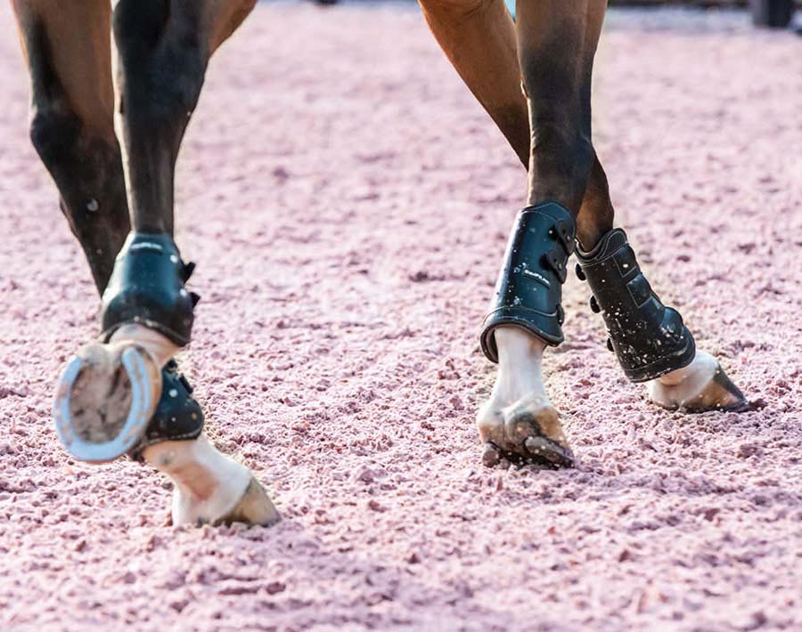 ARENAS - Equestrian Services International